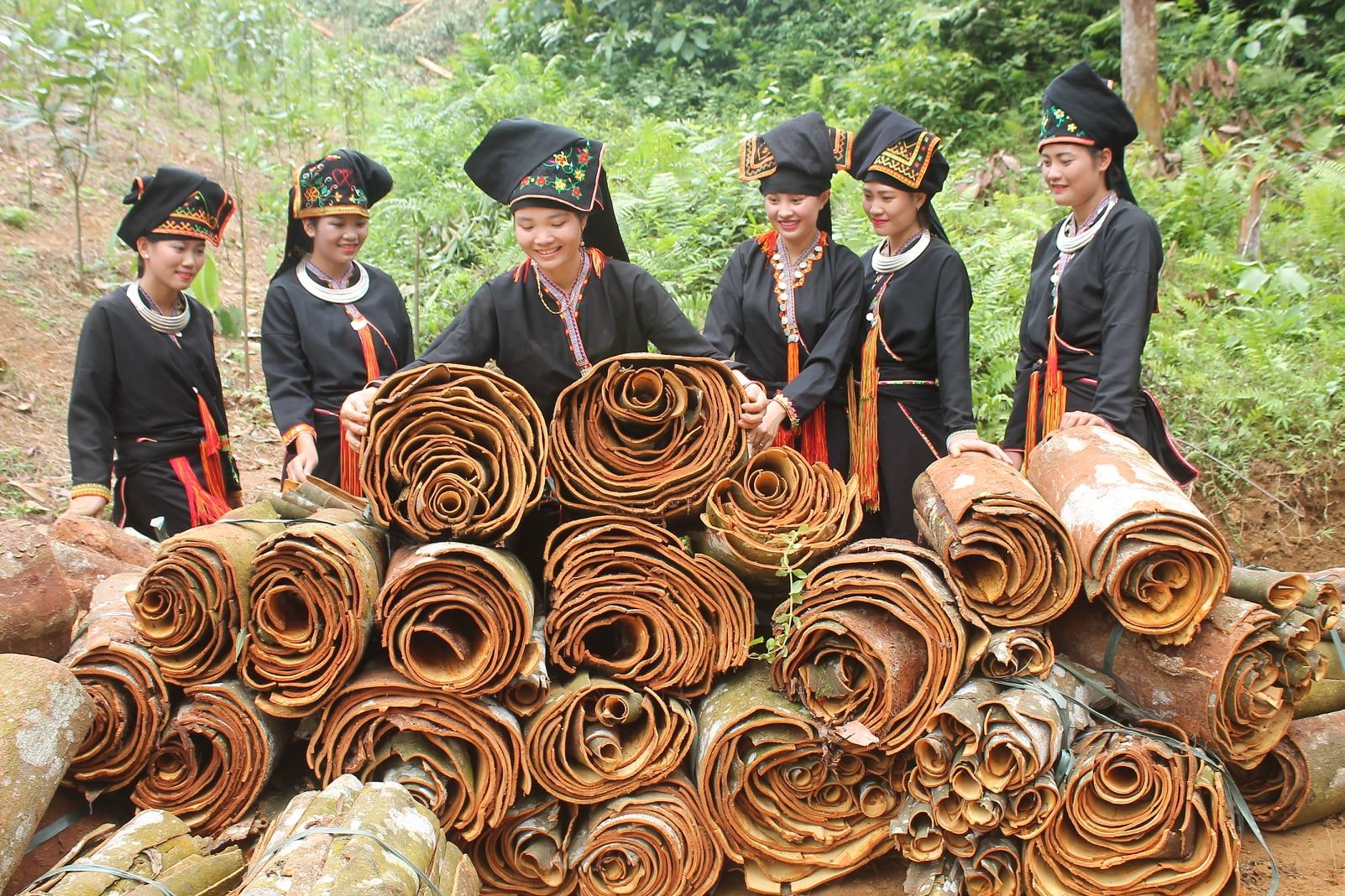 Our story - Essential Oil Vietnam